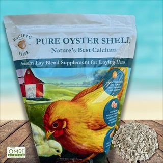 Pacific Pearl Oyster Shell 5lb - Wenatchee, WA - Puyallup, WA ...